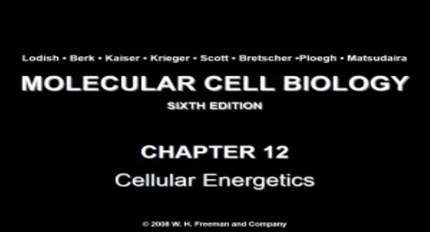 Free Download Biology Information PowerPoint Presentation Slides