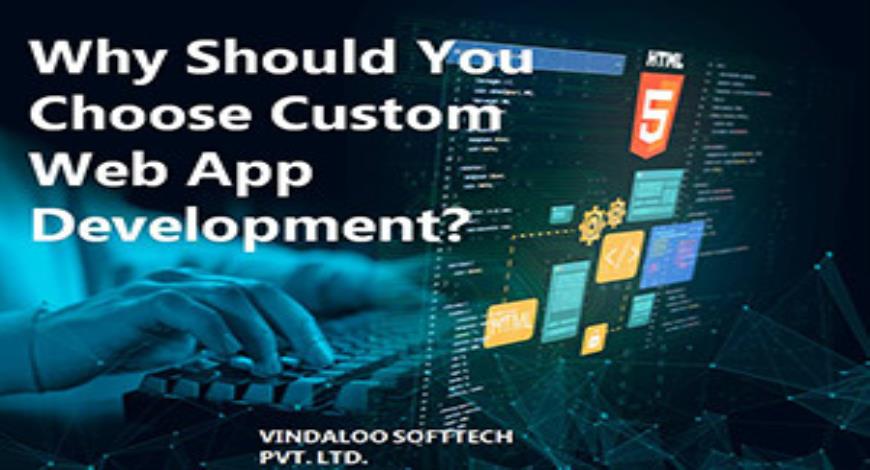 Free Download Why should you choose custom web app development ...