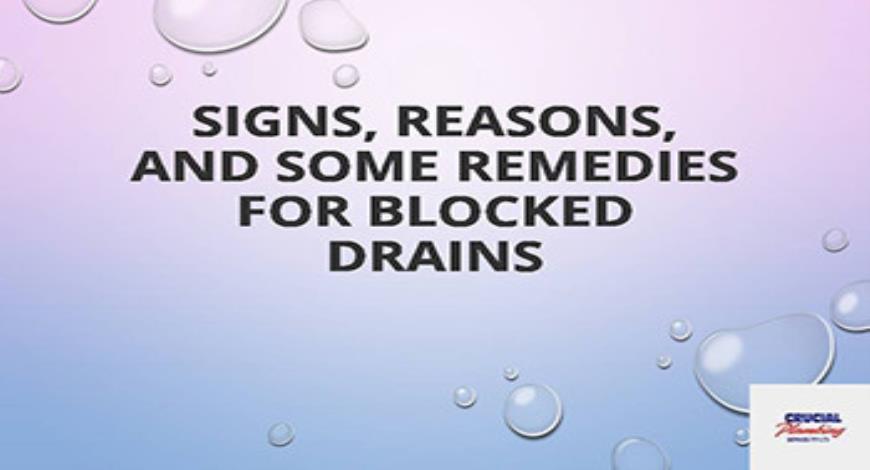 Free Download Signs Reasons and Some Remedies For Blocked Drains ...