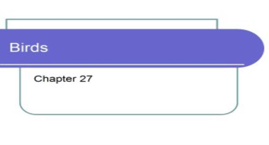 Free Download Birds Hartnell College PowerPoint Presentation Slides