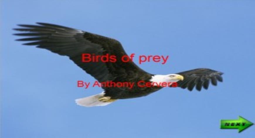 Free Download Birds of prey PowerPoint Presentation Slides