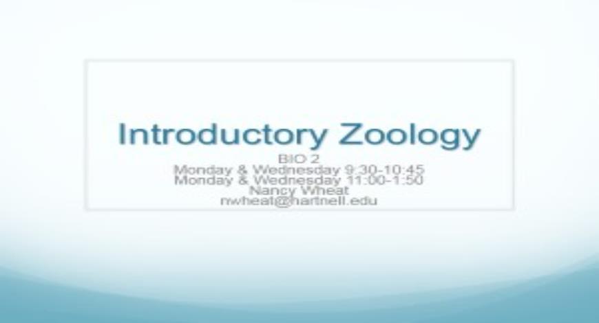 Free Download Introductory Zoology PowerPoint Presentation Slides