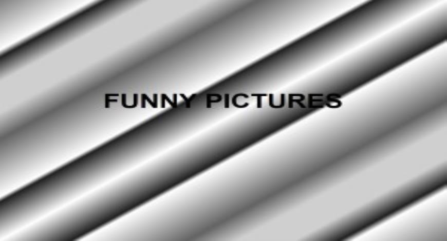 Free Download FUNNY PICTURES PowerPoint Presentation Slides